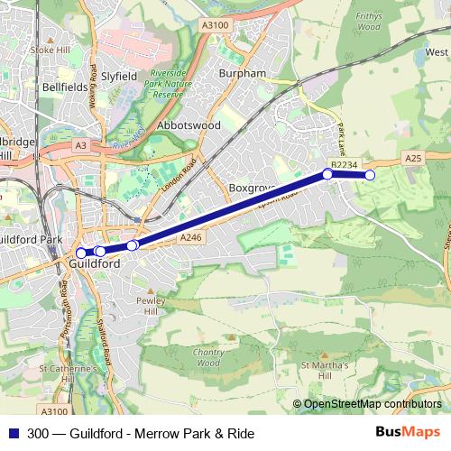 Stagecoach South 300 Guildford - Merrow Park & Ride Bus - United Kingdom
